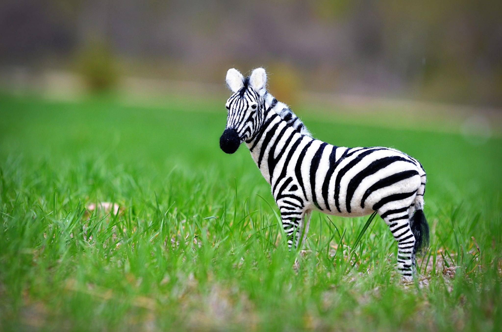 Wool Zebra #2 - Bringing Wool to Life with Teresa Perleberg