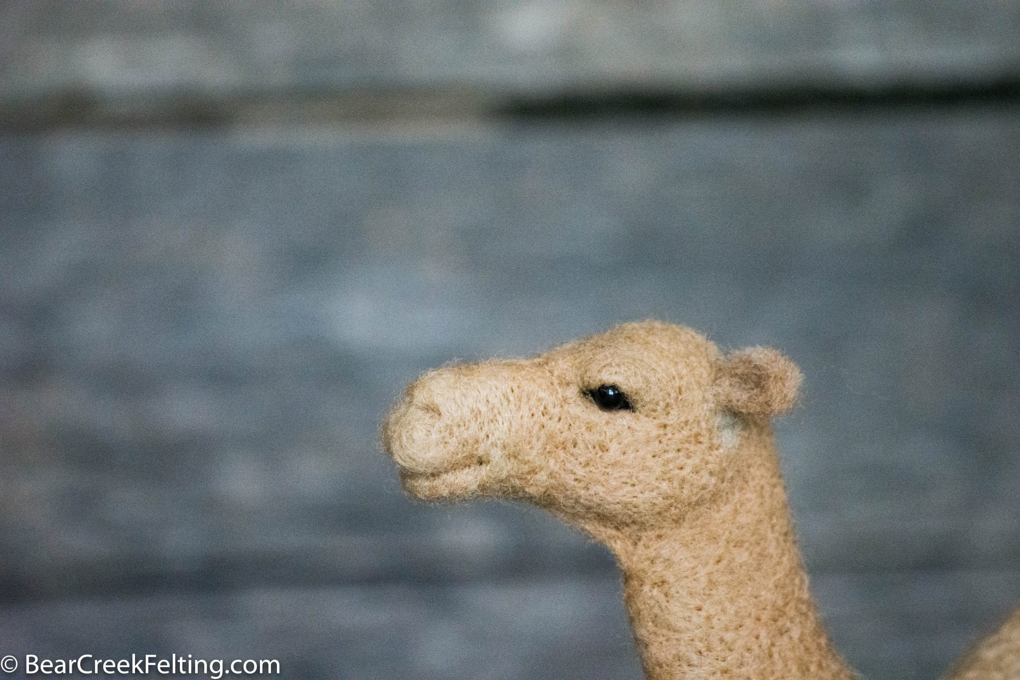 Needle Felting a Camel, the Needle Felting Process from Start to Finish