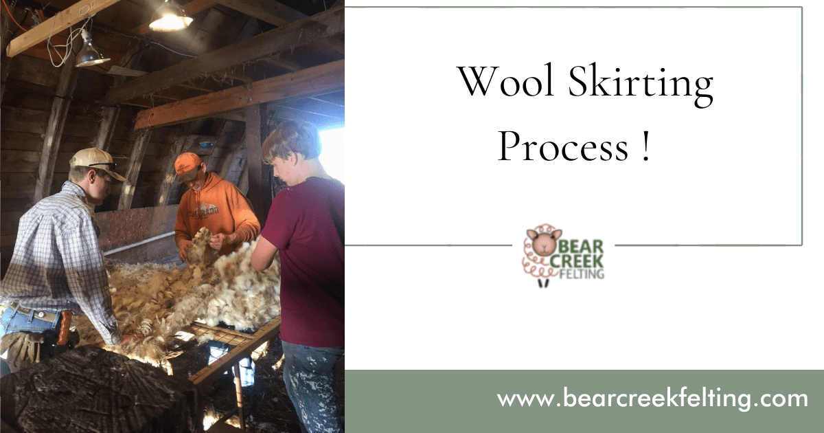 Wool Skirting: How To Prepare Wool After Shearing - Bear Creek Felting