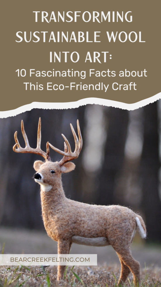 Transforming Sustainable Wool into Art: 10 Fascinating Facts about This ...